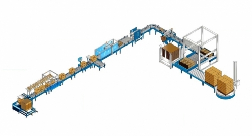 Automatic Carton Packing Line
